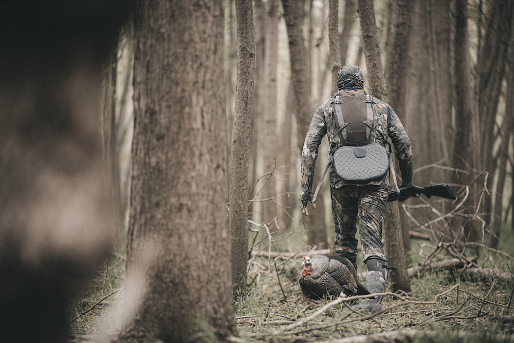 CSI CSIColorflow :: Home